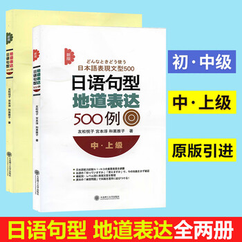 日语句型地道表达500例(中上级)+日语句型地道表达200例(初中级) 日本语日语句型日语语法 新日