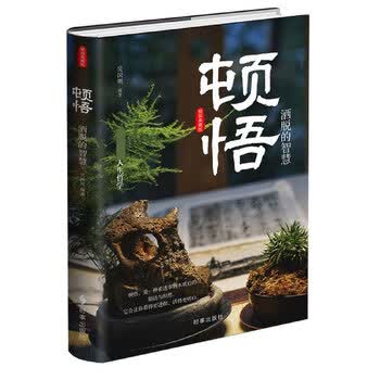 顿悟(洒脱的智慧)
