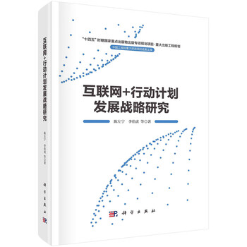 互联网+行动计划发展战略研究