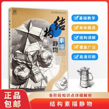 结构素描静物 中国美院出版社 组合临摹书籍美术基础技法结构到位绘画册照片风暴高艺联校考陈敲平陶罐门砖教学程材大八开范本正版