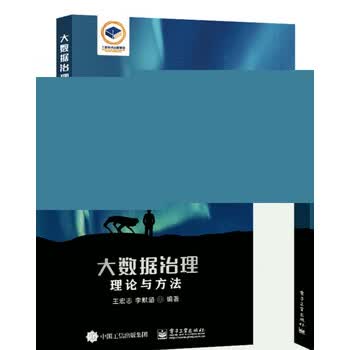 大数据治理：理论与方法