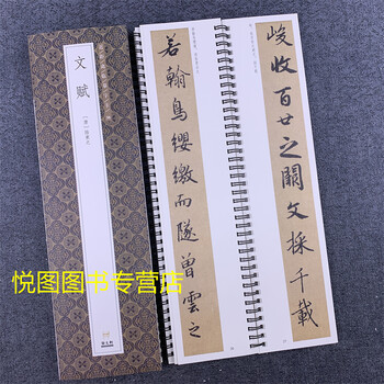 陆柬之文赋 近距离临摹字卡 静文轩编 陆柬之行书墨迹本毛笔书法字帖 原大碑帖简体旁注 全144页单字约2.5厘米