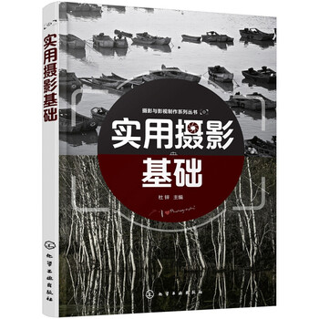 摄影与影视制作系列丛书--摄影构图(孙寰 ) 实用摄影基础