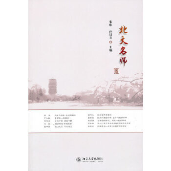 北大名师 张琳,孙战龙 北京大学出版社
