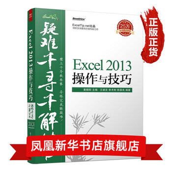 Excel 2013操作与技巧 读者视角、全新解读