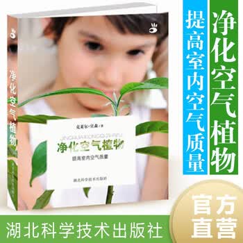 净化空气植物