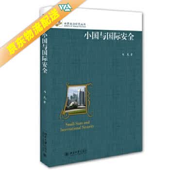 小国与安全