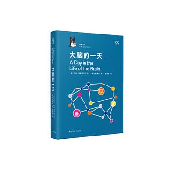 大脑的一天