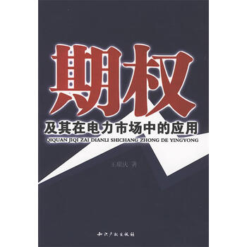 期权及其在电力市场中的应用