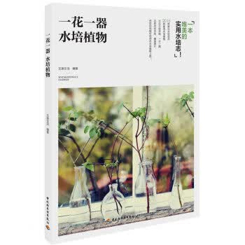 一花一器 水培植物 艺美生活