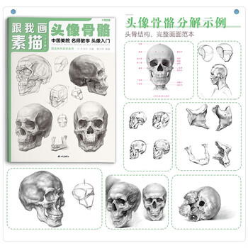 跟我画素描人像头像4册临摹书籍画册人物结构真人画像写生五官肌肉骨骼头骨零基础手绘画画教程入门美术自学赖小明国美高考解剖 跟我画头像骨骼