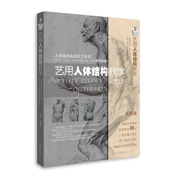 艺用人体结构教学 1/13