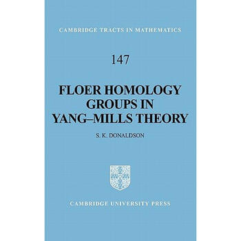 Floer Homology Groups in Yang-Mills Theory: ...