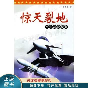惊天裂地：空中战役经典 丁步东