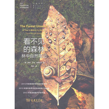 看不见的森林