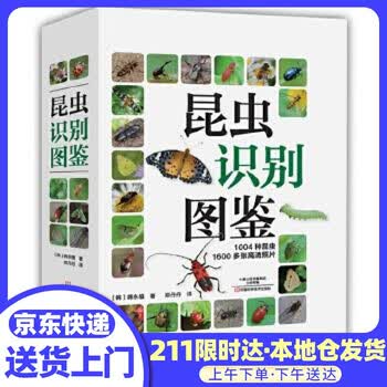 昆虫识别图鉴 〔韩〕韩永植 著,郑丹丹 译 河南科学技术出版社