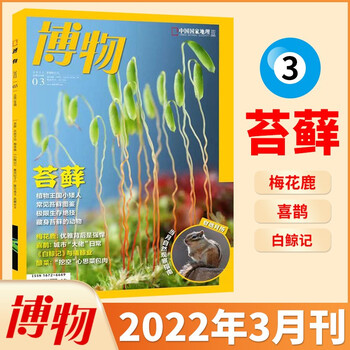 【2本包邮】博物杂志2021年/2022年1-12期全年现货单期\/打包可选 中国国家地理青春版大百科普图书 【现货】2022年3期：苔藓