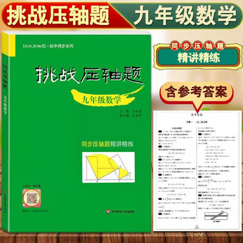 2022版挑战压轴题9九年级数学几何函数含参考答案