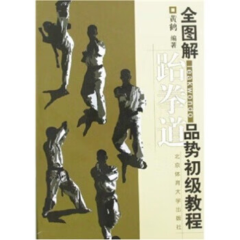 全图解跆拳道品势初级教程 黄鹤 著