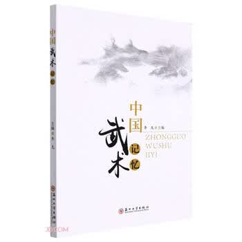 中国武术记忆