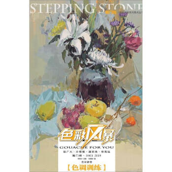 色彩风暴 色调训练【正版图书】