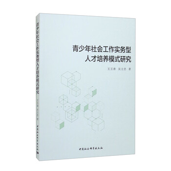 青少年社会工作实务型人才培养模式研究