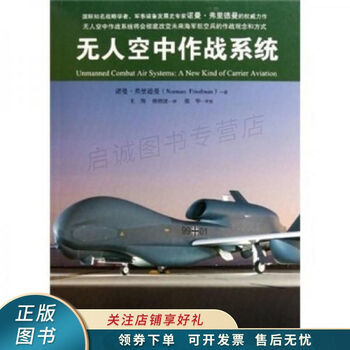 无人空中作战系统
