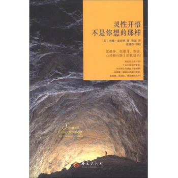 灵性开悟不是你想的那样 [美]杰德·麦肯纳 华夏出版社9787508074405