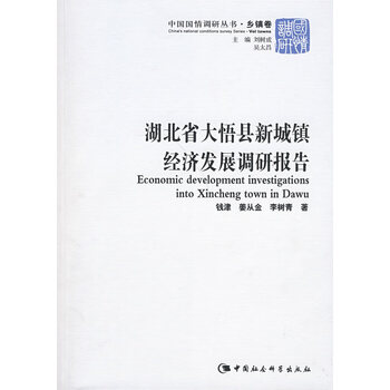 湖北省大悟县新城镇经济发展调研报告 钱津