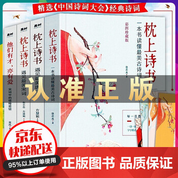 枕上诗书系列 枕上诗书+遇见美宋词+遇见美唐诗+他们有才亦有爱+中国诗词大会 一诗一词一故事诗词歌赋 枕上诗书系列全4册