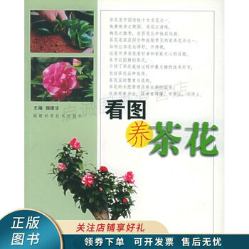 看图养茶花 施德法