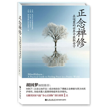 正版【赠书签+音频】正念禅修:在喧嚣的世界中获取安宁《情商》作者丹尼尔戈尔曼 胡因梦倾情推*正念减压