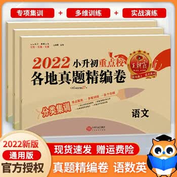 科目自选】202新版王朝霞小升初小学升初中重点名校各地真题精编试卷六年级语文数学英语套装专项训练 语数英 小升初