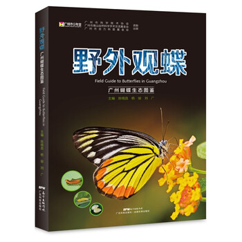 野外观蝶 广州蝴蝶生态图鉴