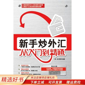 新手炒外汇从入门到精通 李一峰
