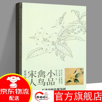 【官方旗舰】原大版 宋人禽鸟小品 实用白描画稿 李晓明绘 禽鸟花卉原大白描画稿内附彩稿 天津杨柳青画社 宋人禽鸟小品