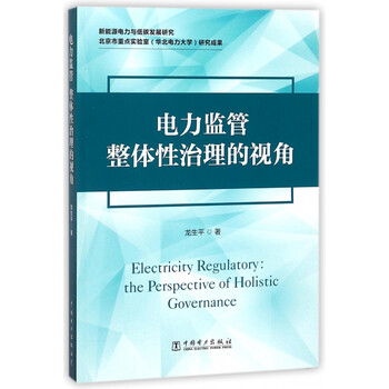 电力监管(整体性治理的视角)