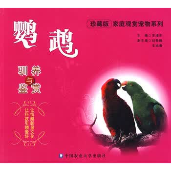 鹦鹉驯养与鉴赏