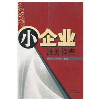 小企业账务检查【正版图书】