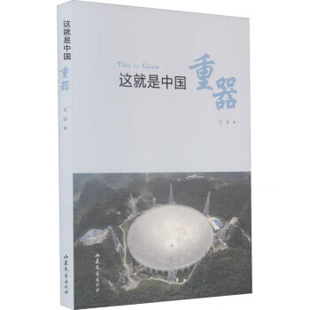 这就是中国·重器 王非 著