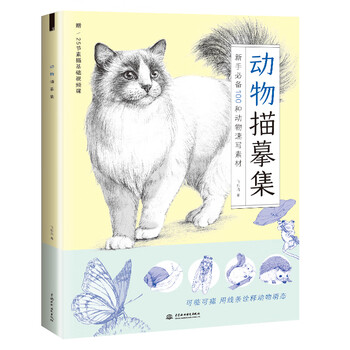 动物描摹集 素描动物基础教程 描红画本 步骤图解 线描动物临摹画册 动物速写入门 铅笔画描摹书 10