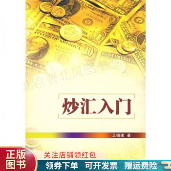 炒汇入门 王祖建