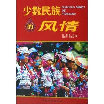 少数民族的风情【正版图书】