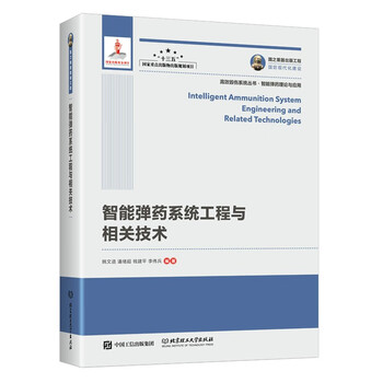 国之重器出版工程 智能弹药系统工程与相关技术