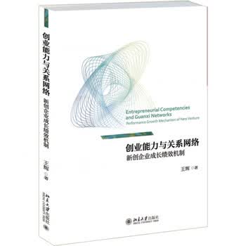 创业能力与关系网络：新创企业成长绩效机制 北京大学旗舰店正版