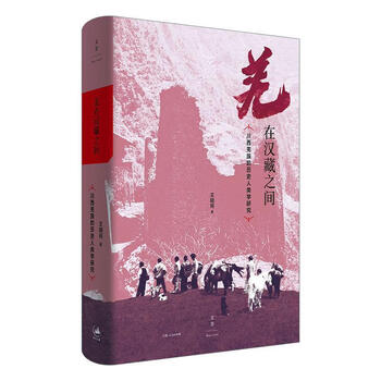 羌在汉藏之间：川西羌族的历史人类学研 9787208172791 历史书籍