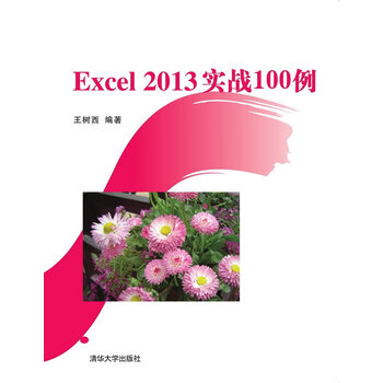 Excel 2013实战100例 王树西著 清华大学出版社【正版图书】