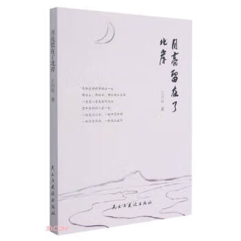 月亮留在了北岸 王洪岩