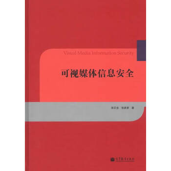 可视媒体信息安全【正版图书】