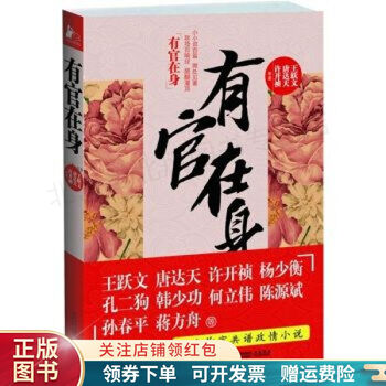 有官在身 王跃文